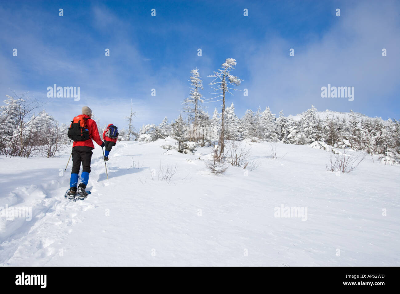 Mount cardigan state park hi-res stock photography and images - Alamy