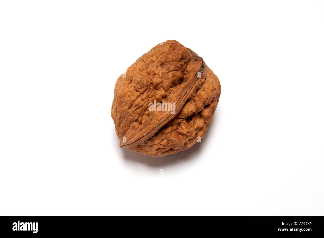 nut rind dry fruit Stock Photo - Alamy