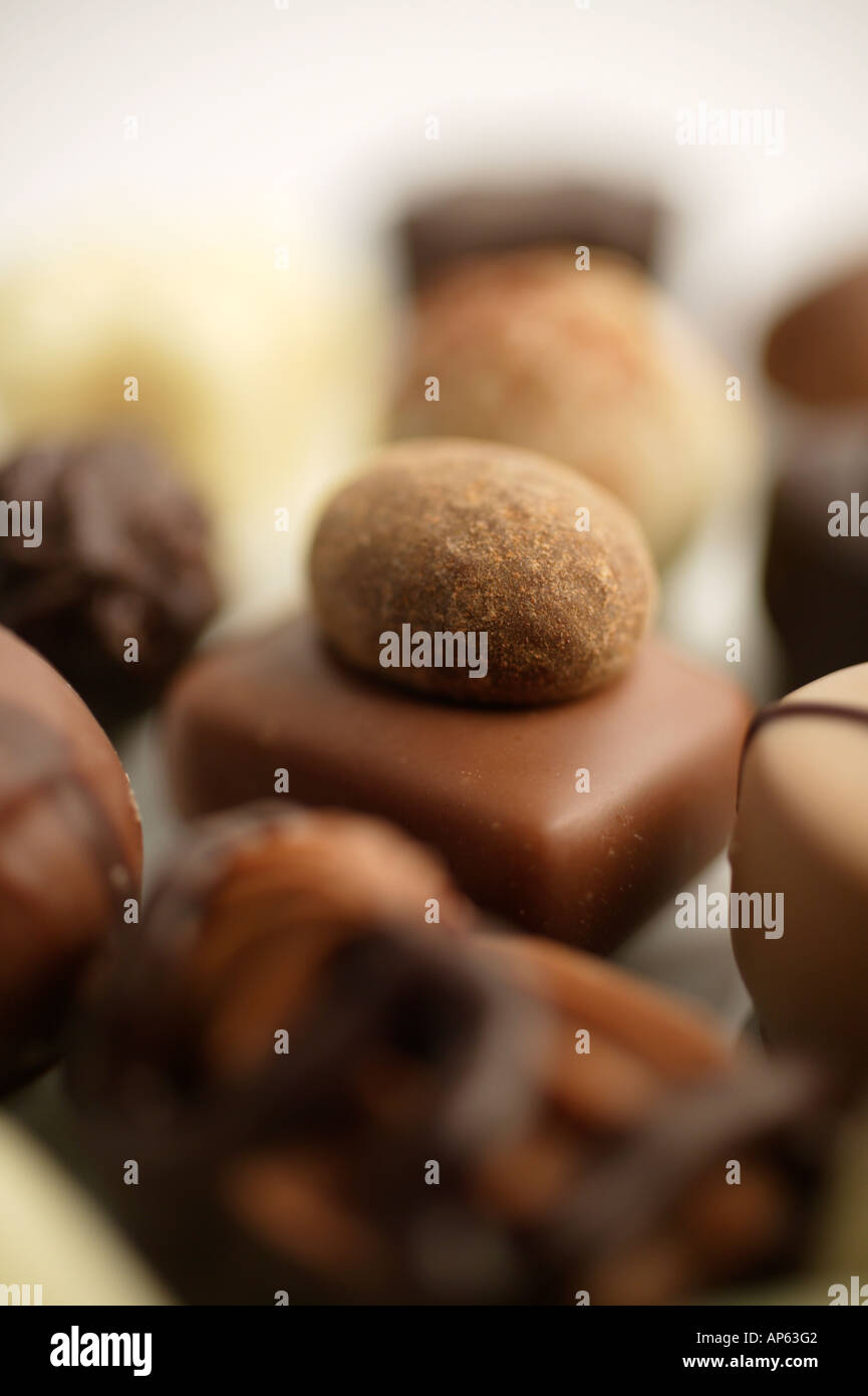 Belgian Chocolate Truffles Stock Photo - Alamy