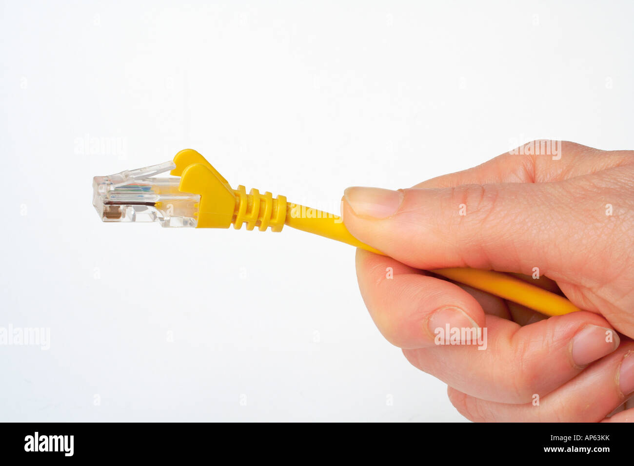 Hand holding network cable Stock Photo - Alamy