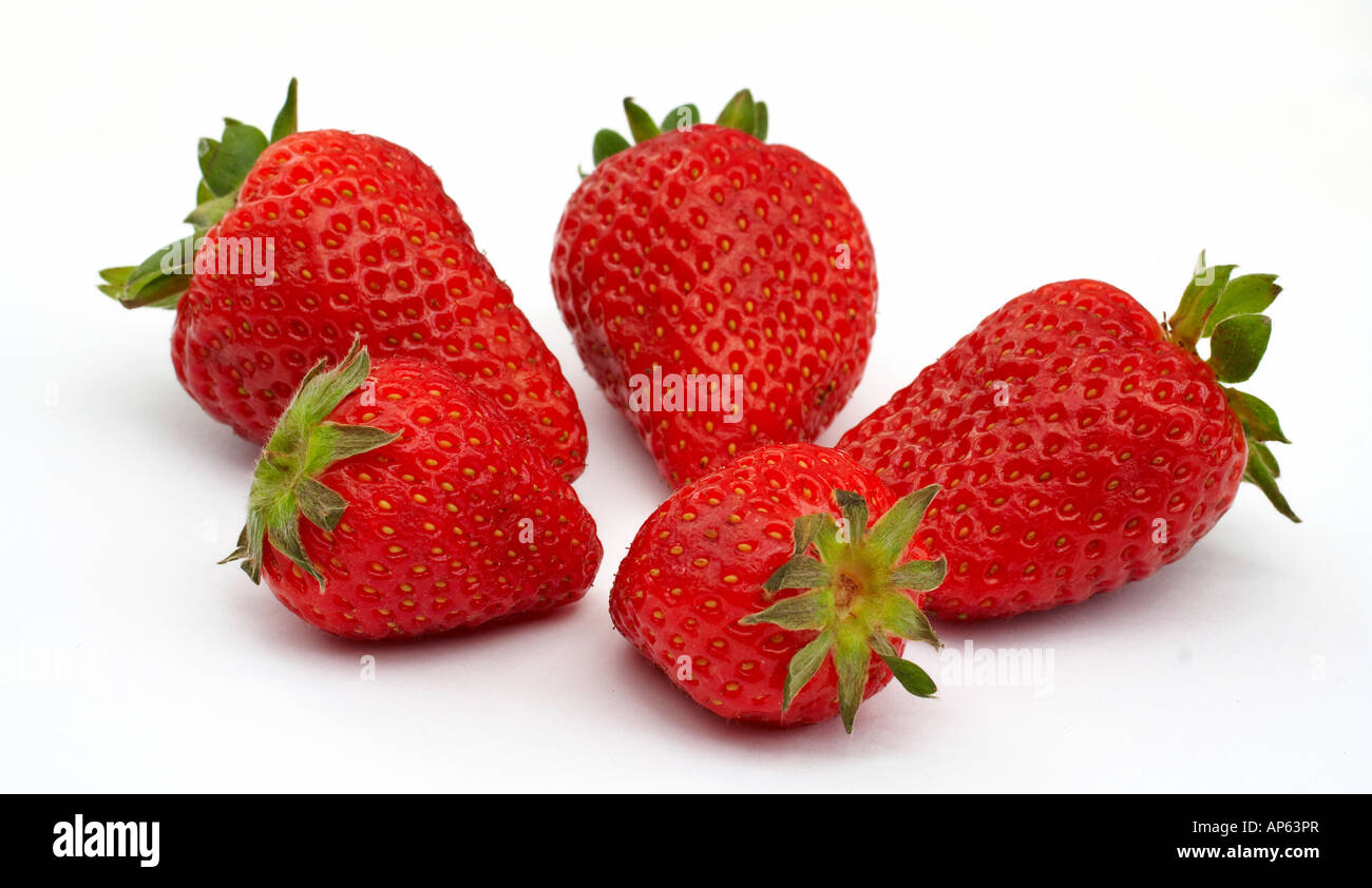 Five Strawberries focus on the strawberry in front On white background ...