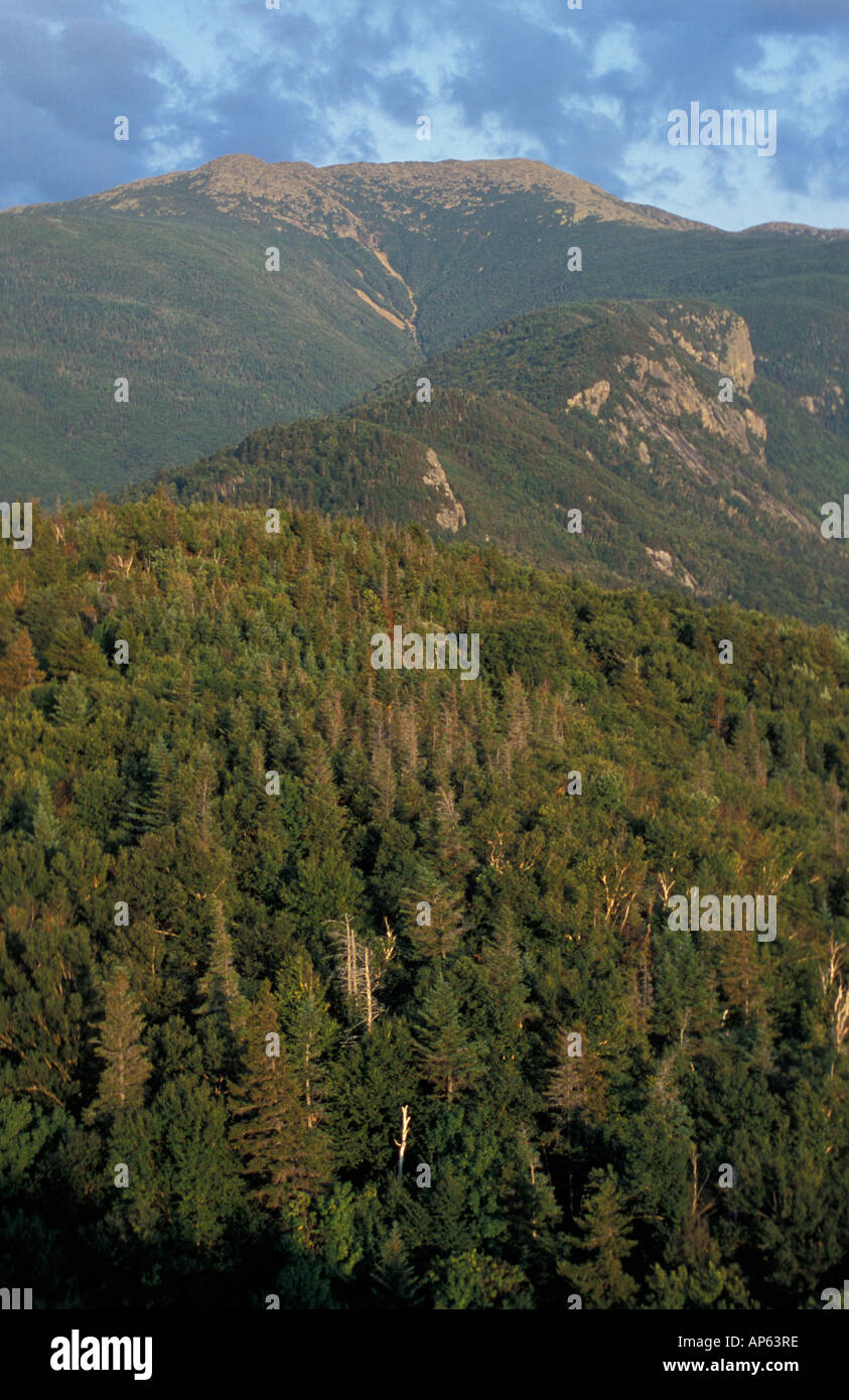 Franconia Notch State Park. View from Bald Mountain of Mount Lafayette ...