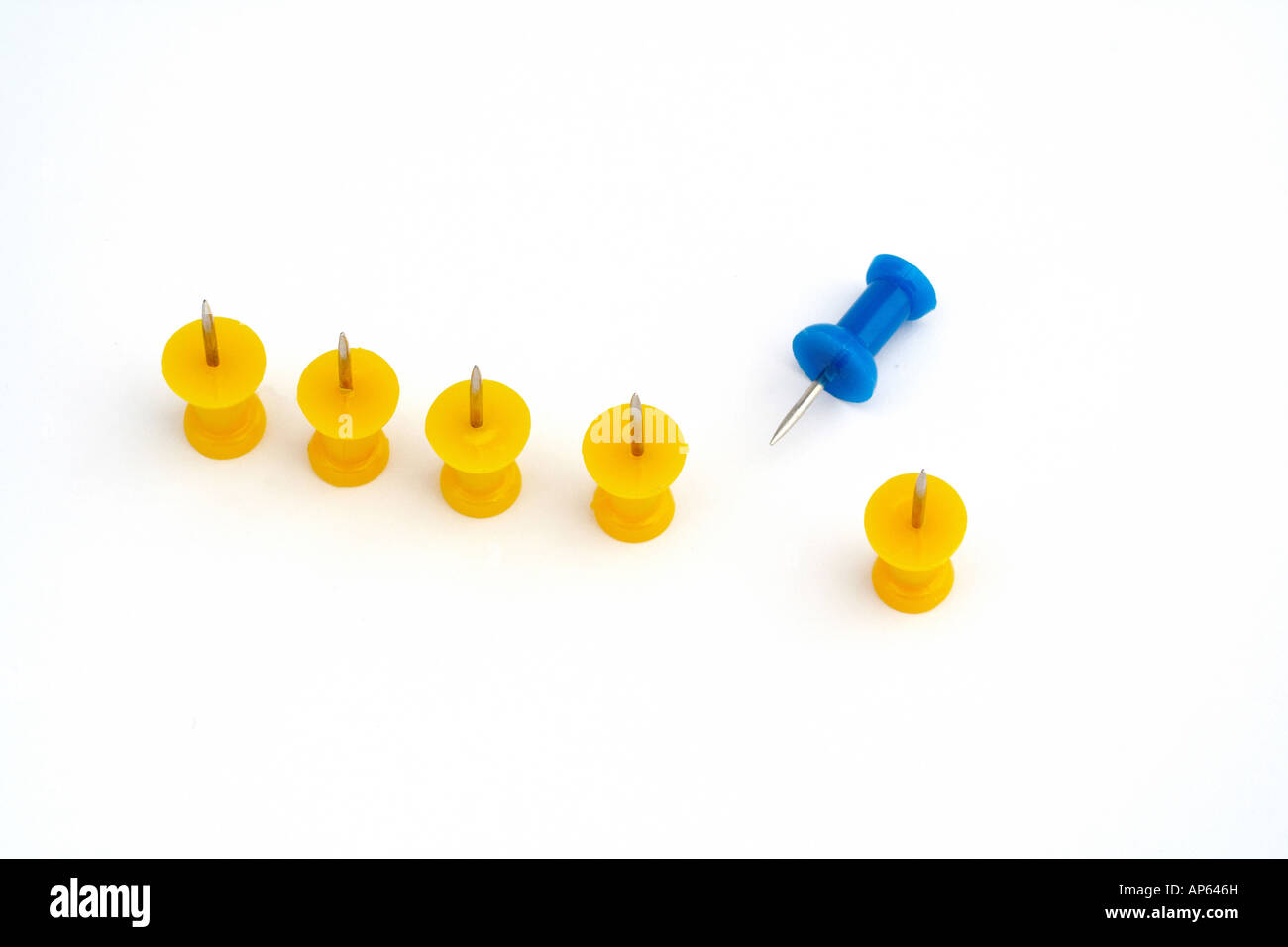 Yellow team with focus on the leader blue Isolated Stock Photo - Alamy