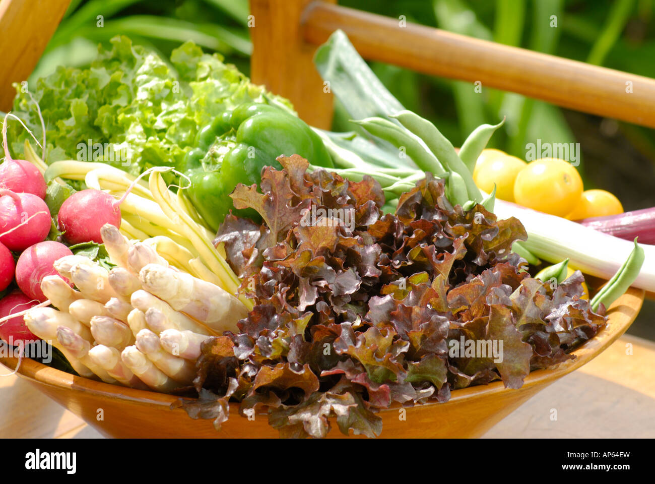 bowl freshly picked organic vegetables on wooden bench in a garden ...