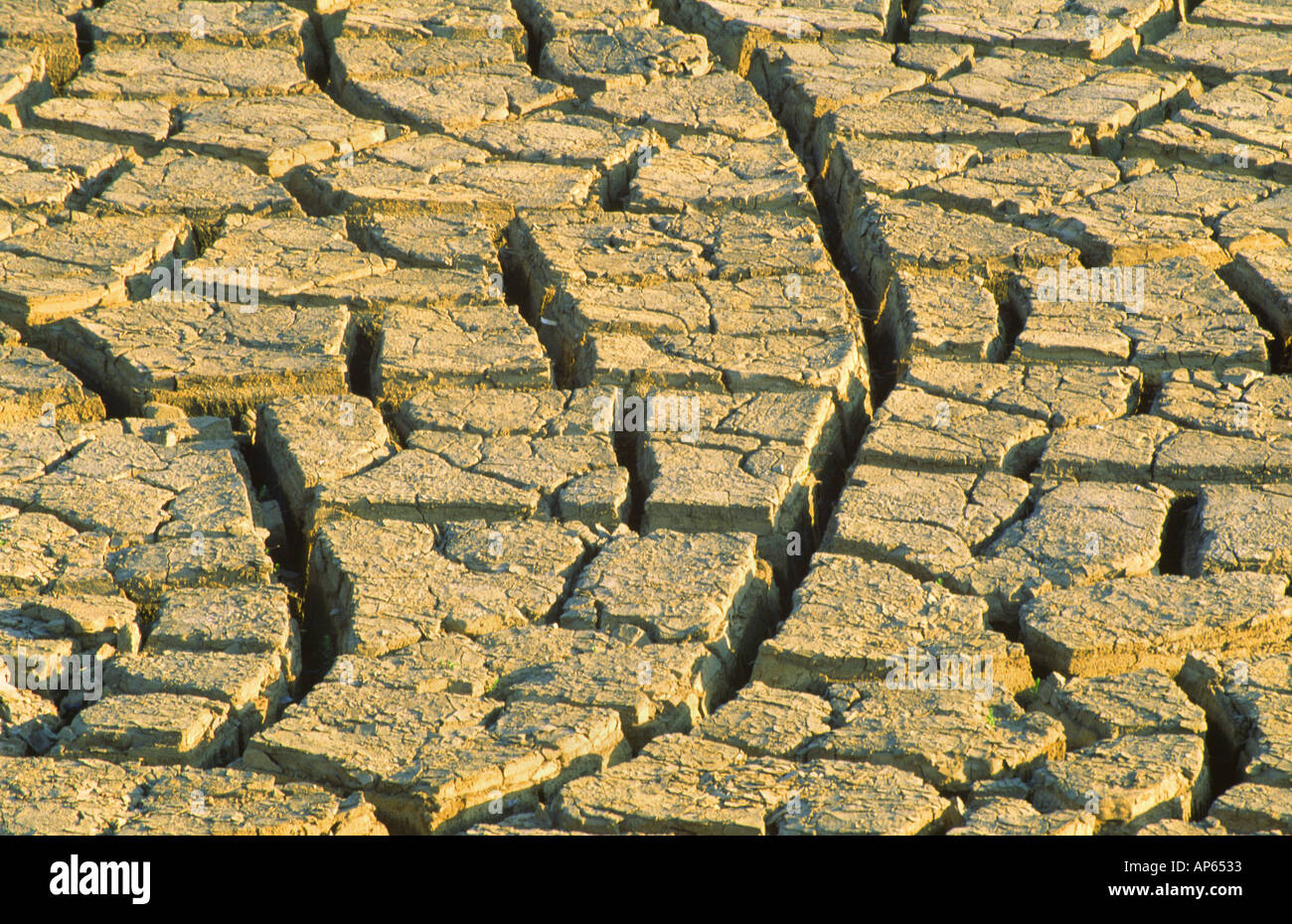 Dried out lake bed during drought conditions England Stock Photo - Alamy