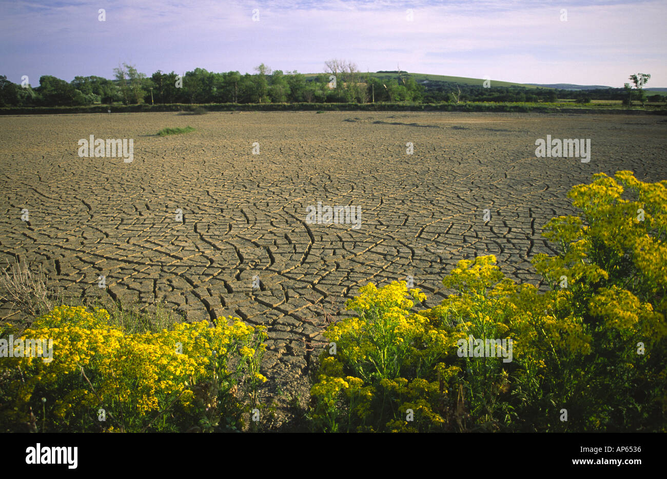 Dried out lake bed during drought conditions England Stock Photo - Alamy