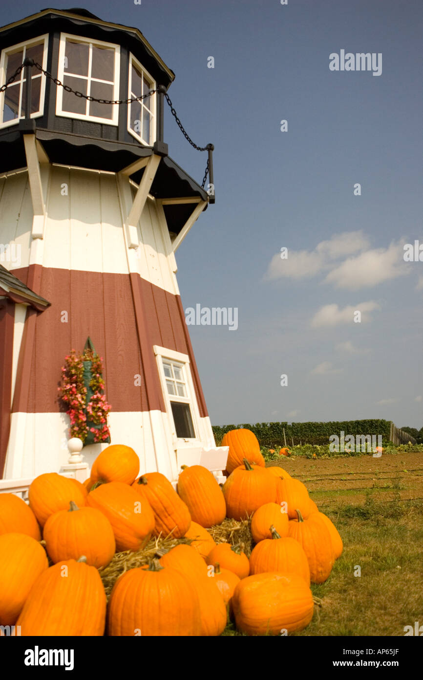 USA, New York, The Hamptons, Farmlands and flower fields Stock Photo ...