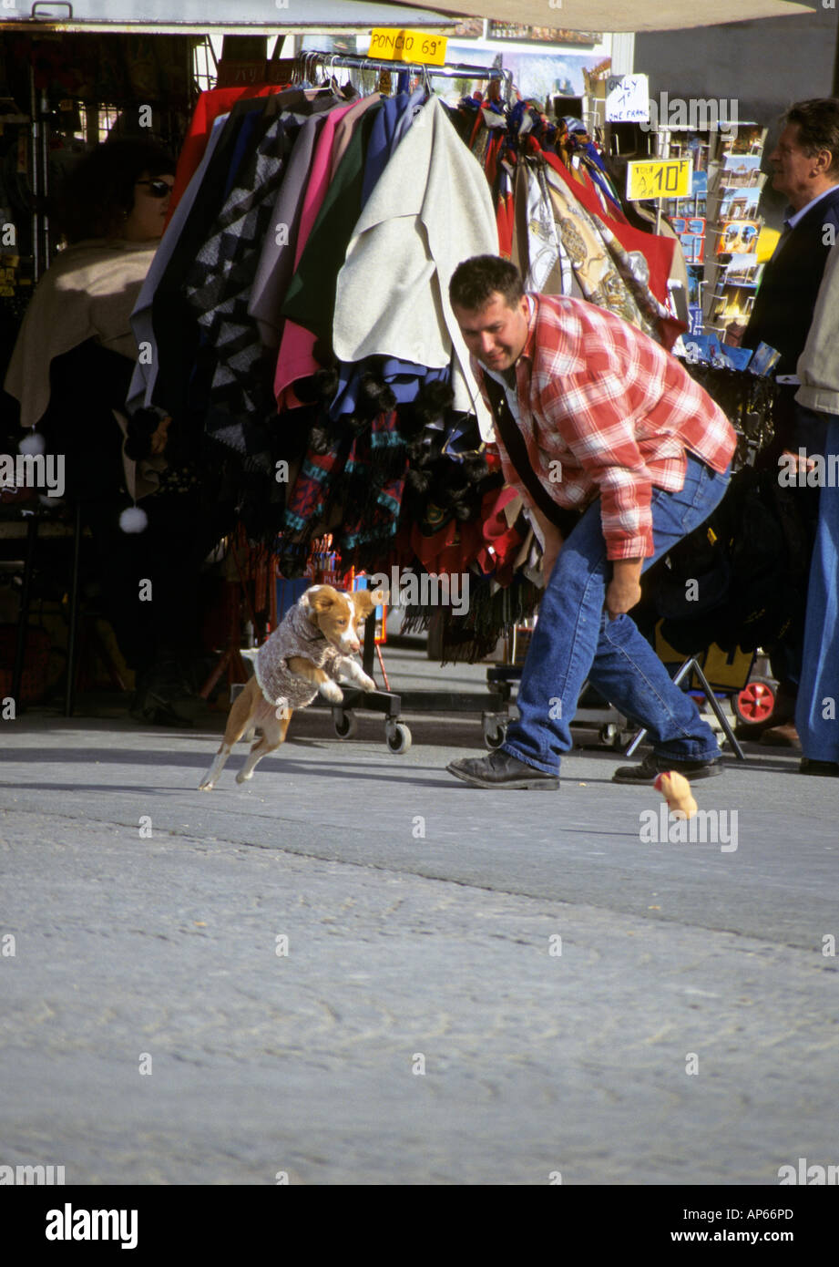 Shopkeeper play with a dog hi-res stock photography and images - Alamy