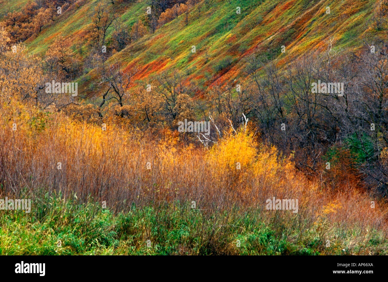 Fall Colors Splash Hillsides in the Pembina Gorge in eastern North ...