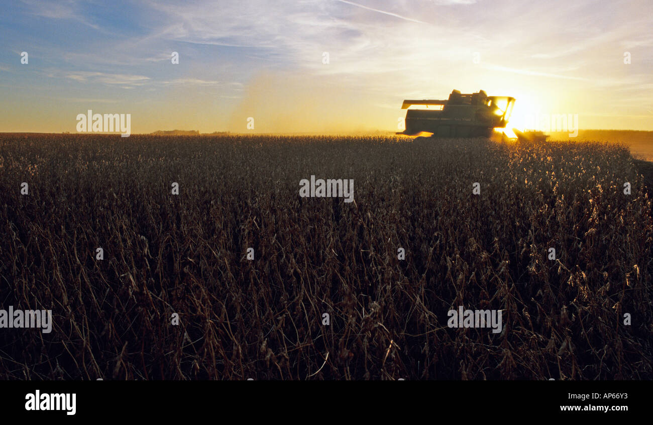 Enderlin north dakota hi-res stock photography and images - Alamy