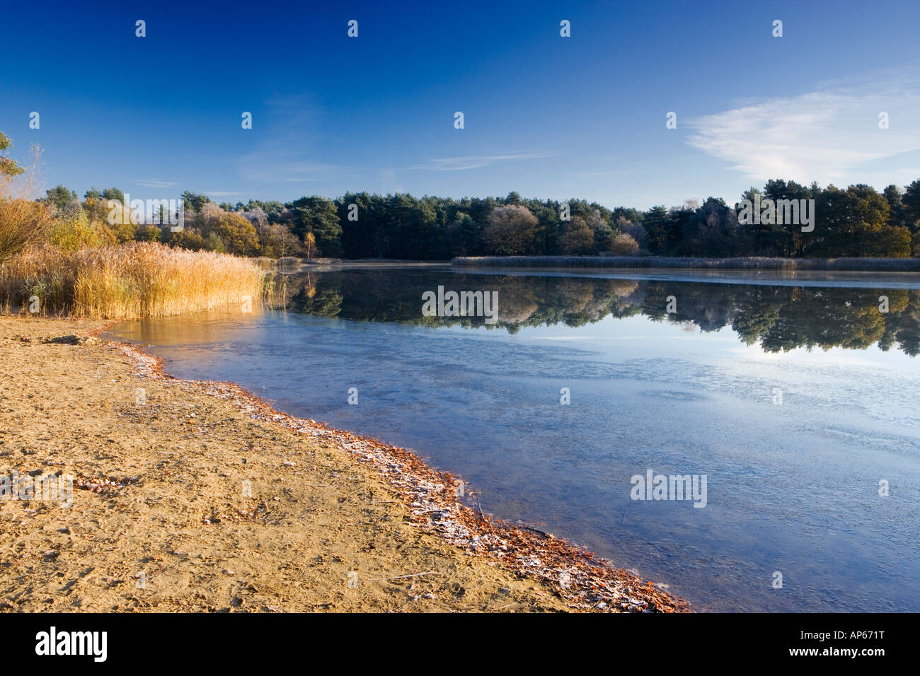 Frensham pond in surrey hi-res stock photography and images - Alamy