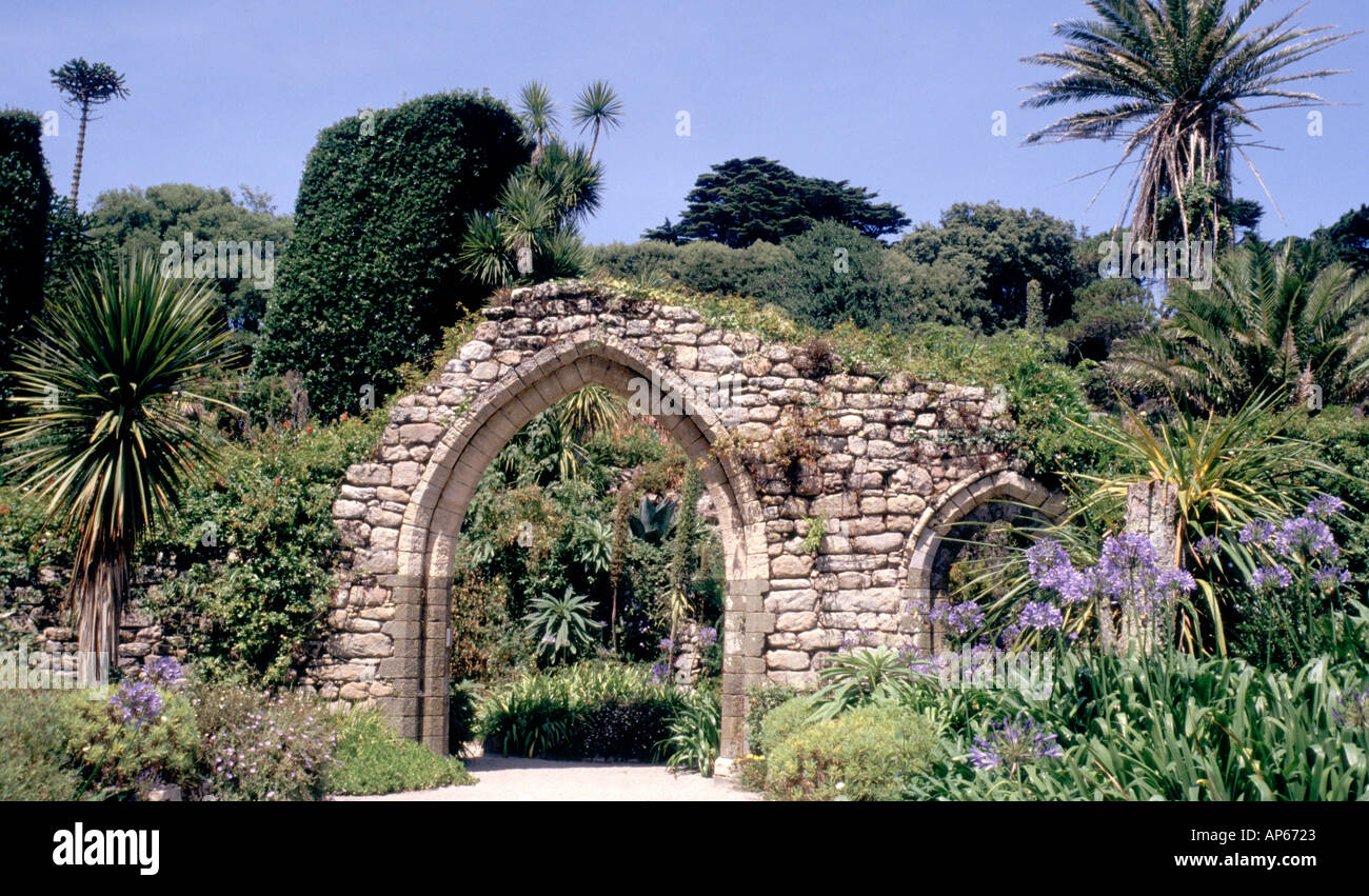 Flowers plants on scilly isles hi-res stock photography and images - Alamy