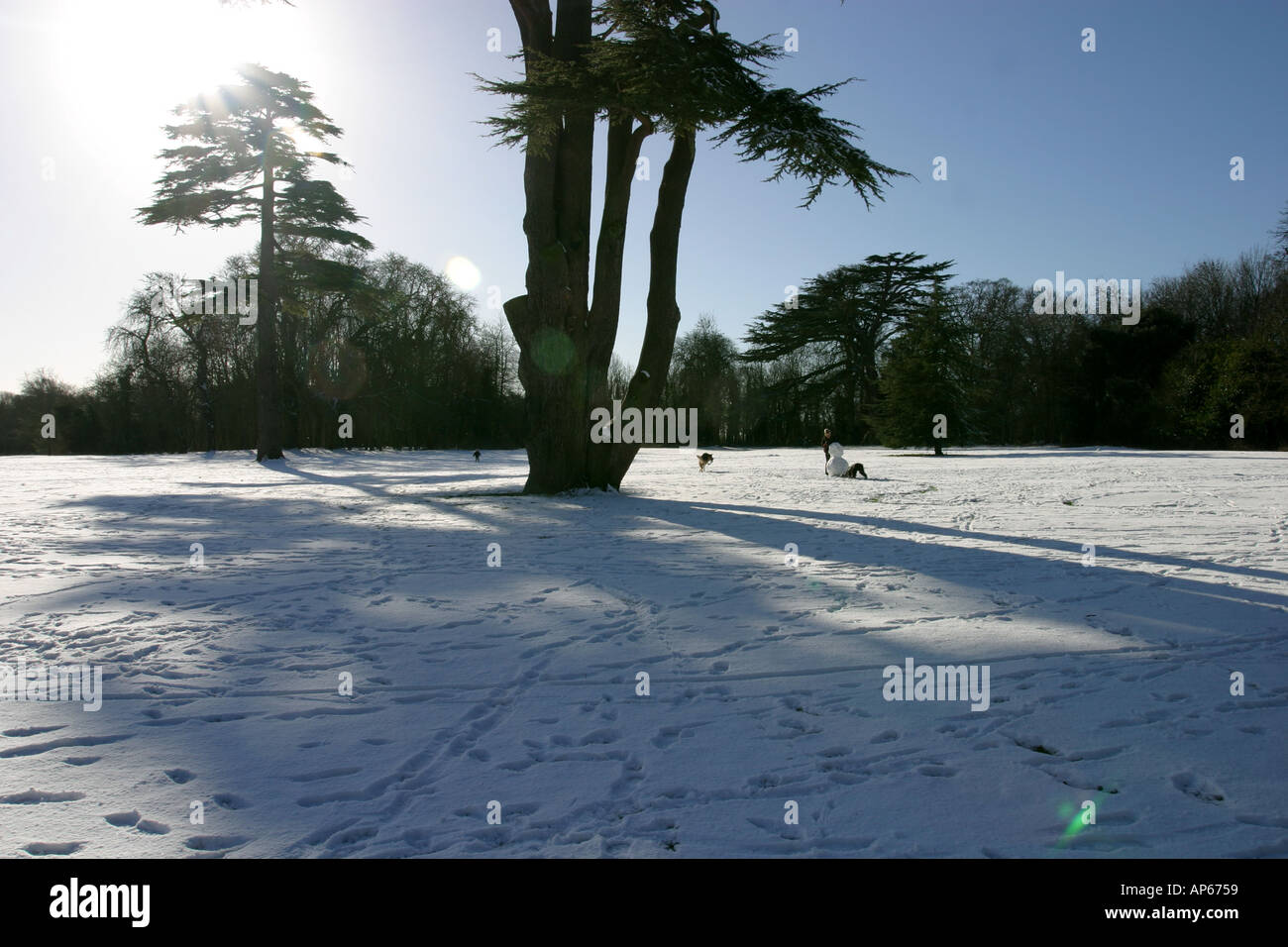 The mansion house and surrounding park of Lydiard Tregoze in the snow ...