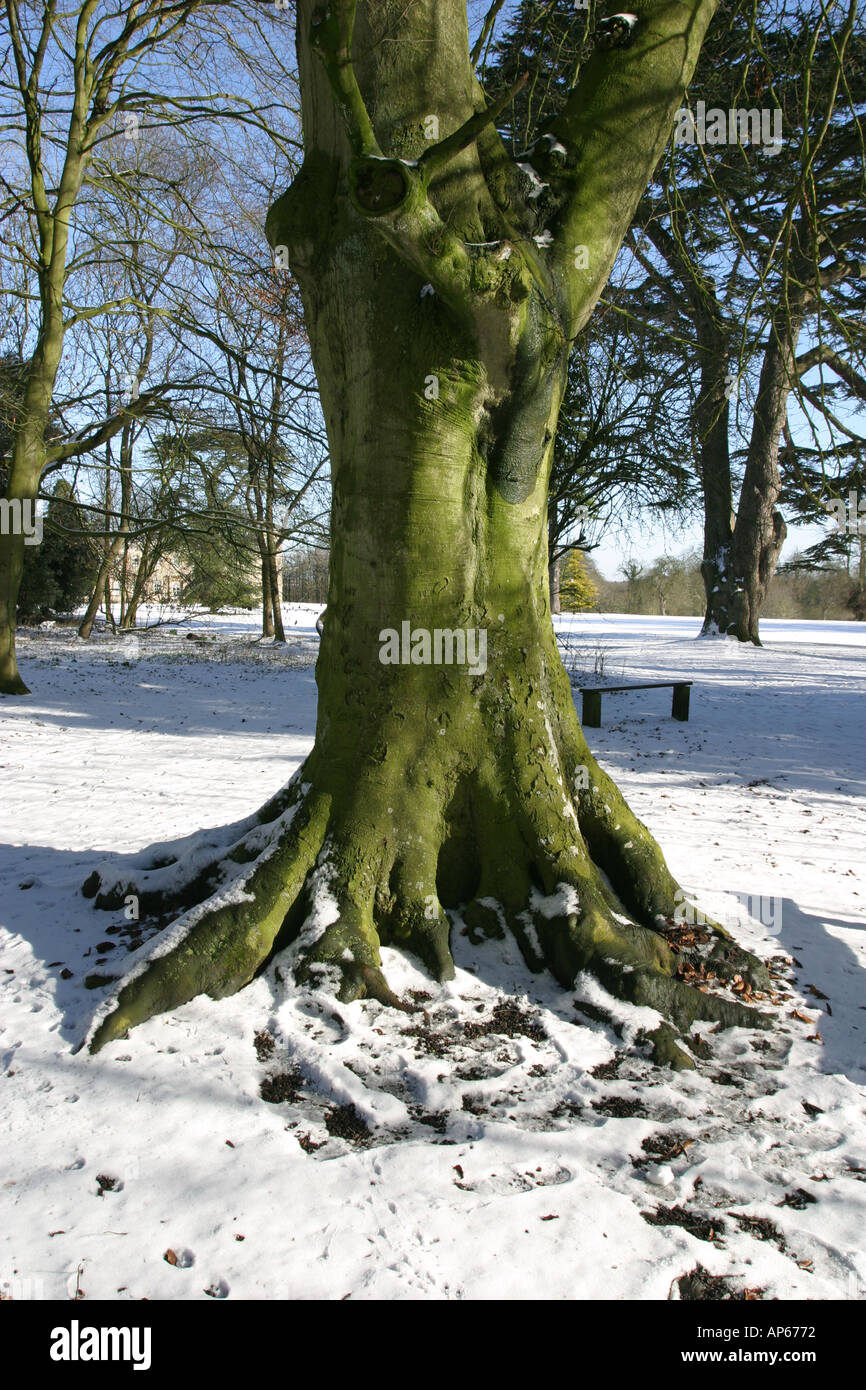 The mansion house and surrounding park of Lydiard Tregoze in the snow ...