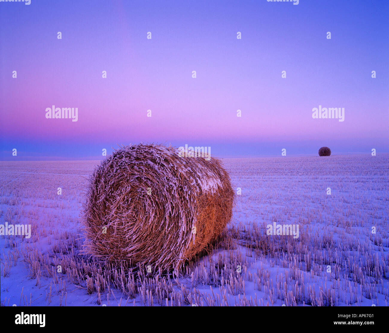 North cartwright hi-res stock photography and images - Alamy