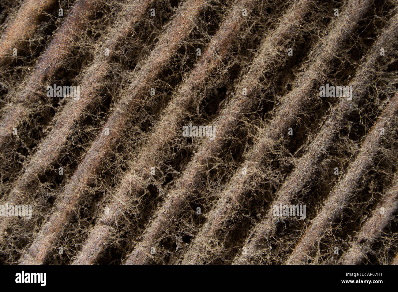 dust accumulation in the drawoff Stock Photo - Alamy