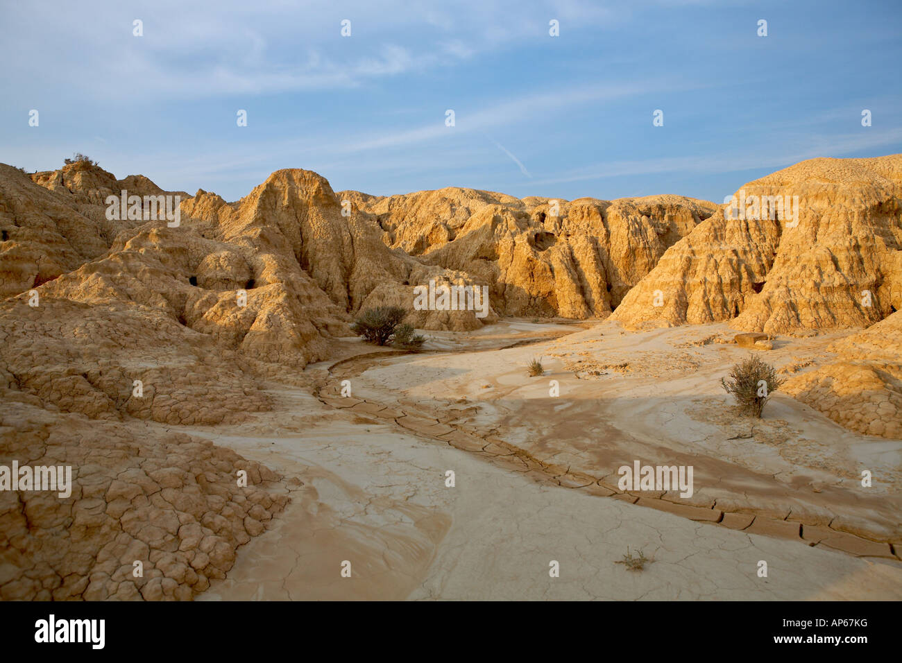 Arid earth over the blue sky in season spring Environmental concern ...