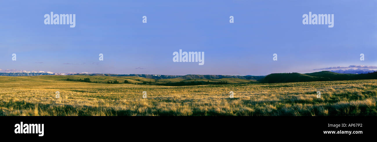 Zumwalt Prairie in northeastern Oregon panoramic Stock Photo - Alamy