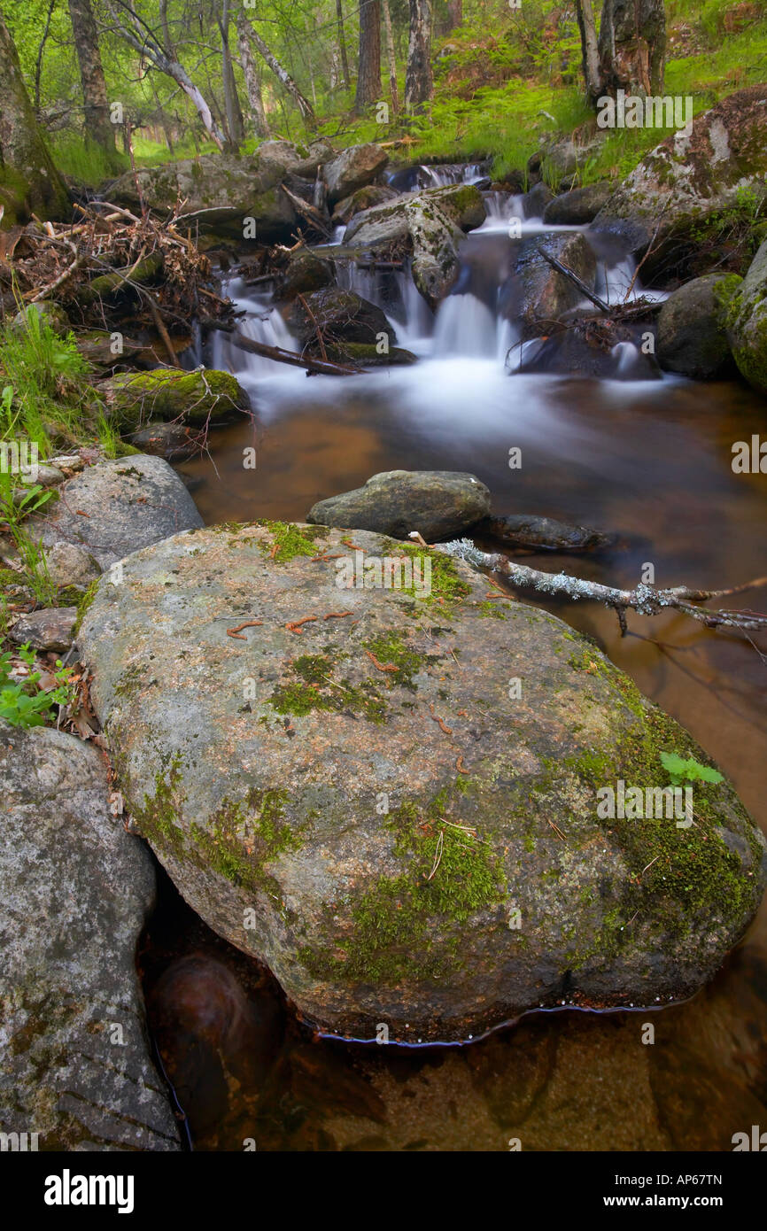 A mountain river with waterfalls in the spring season Stock Photo - Alamy