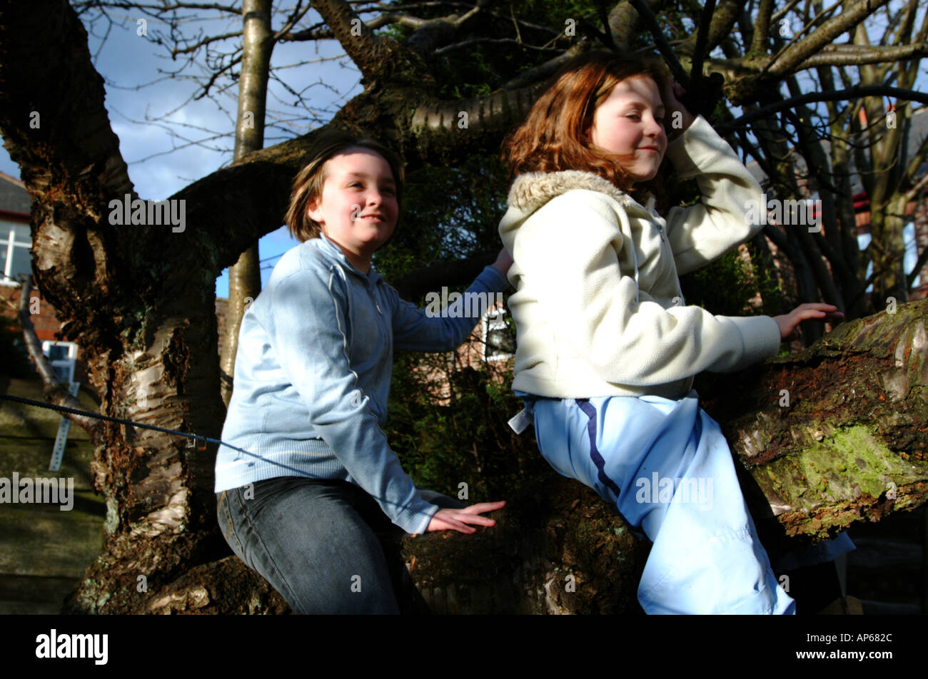 children in a tree Stock Photo - Alamy