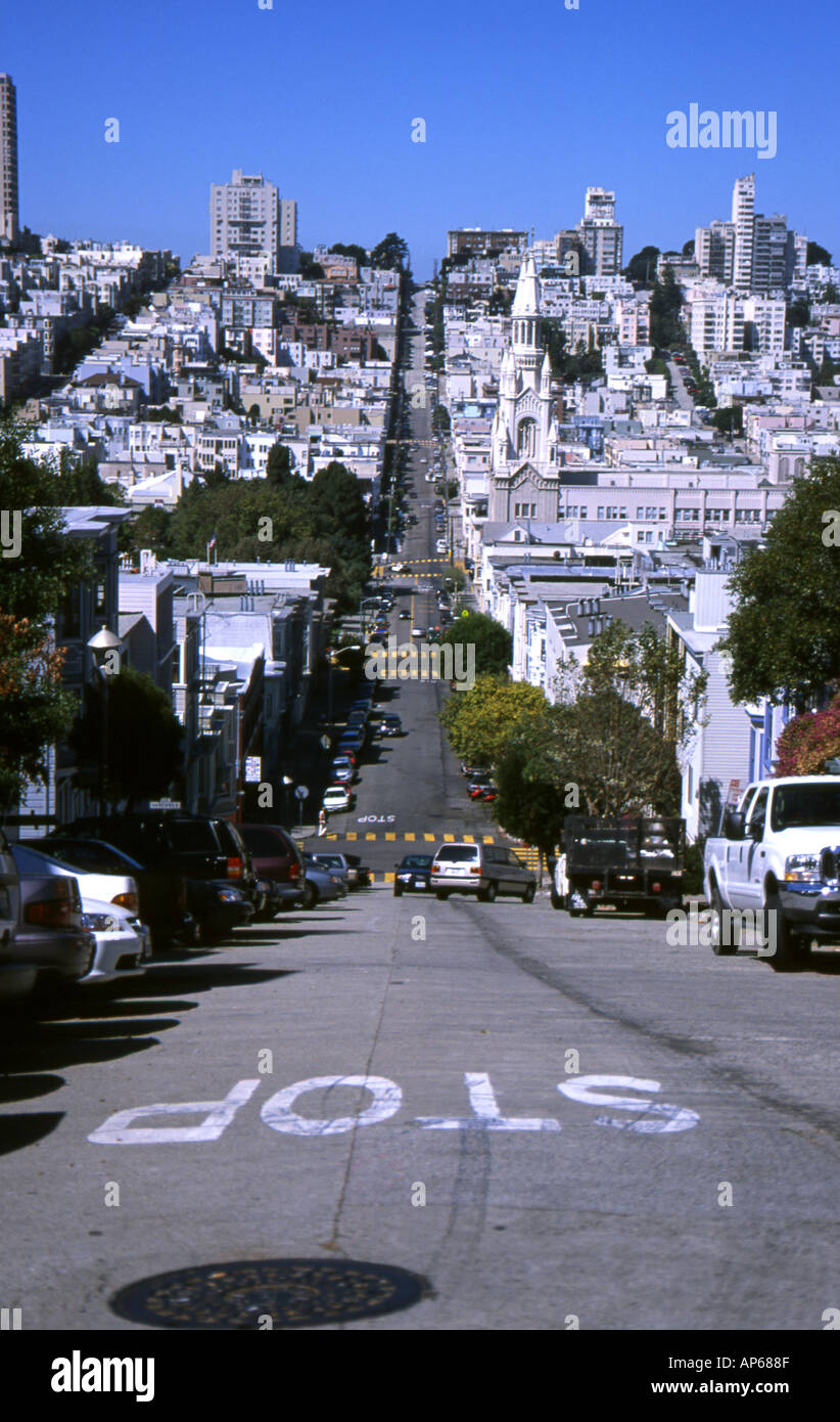the steep tree lined hill streets of San Francisco, stop sign painted ...