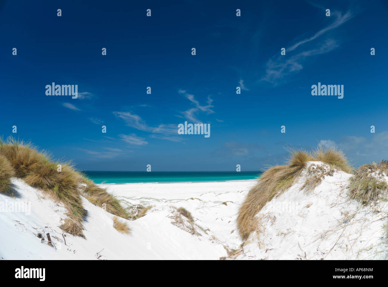 Pure White Sand Dunes Stock Photo - Alamy