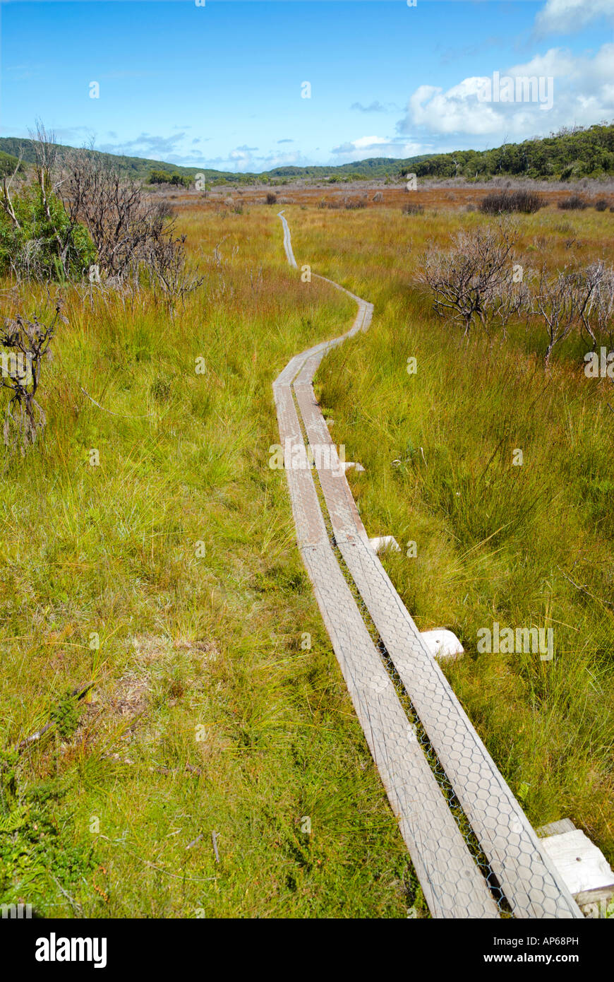 Walk boards hi-res stock photography and images - Alamy