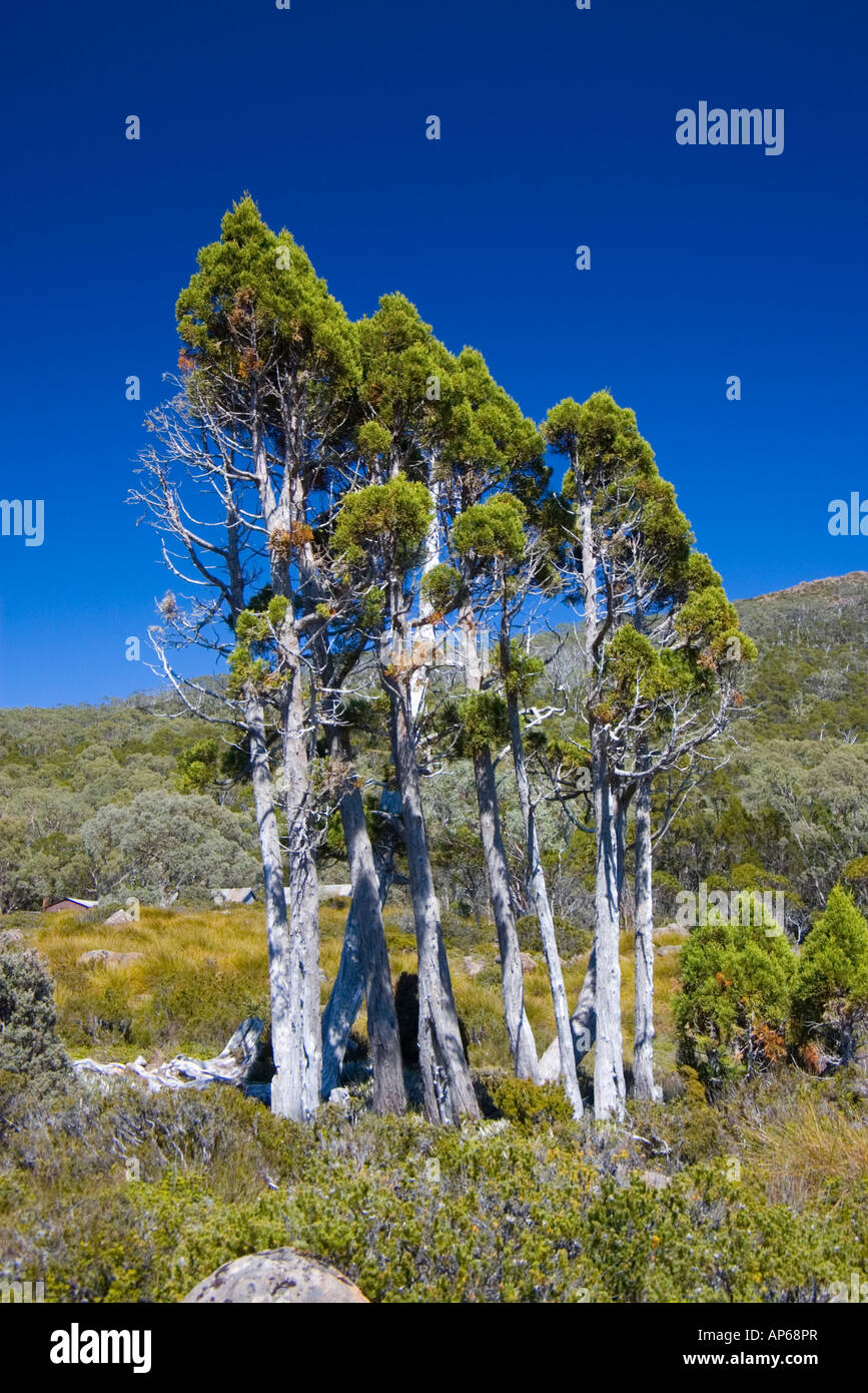 Australian Alpine Plateau Landscape Stock Photo - Alamy