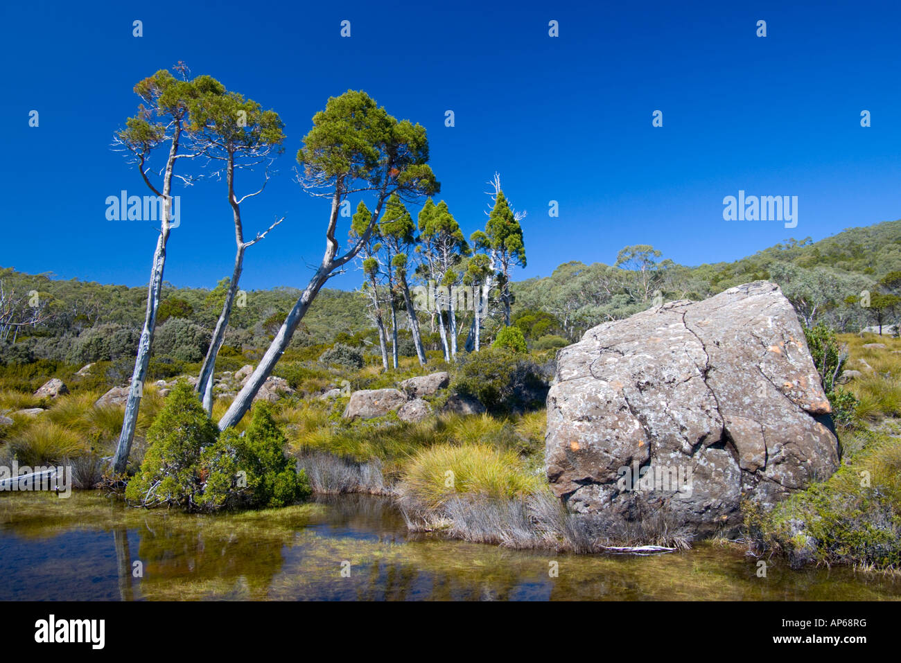 Australian Alpine Plateau Landscape Stock Photo - Alamy