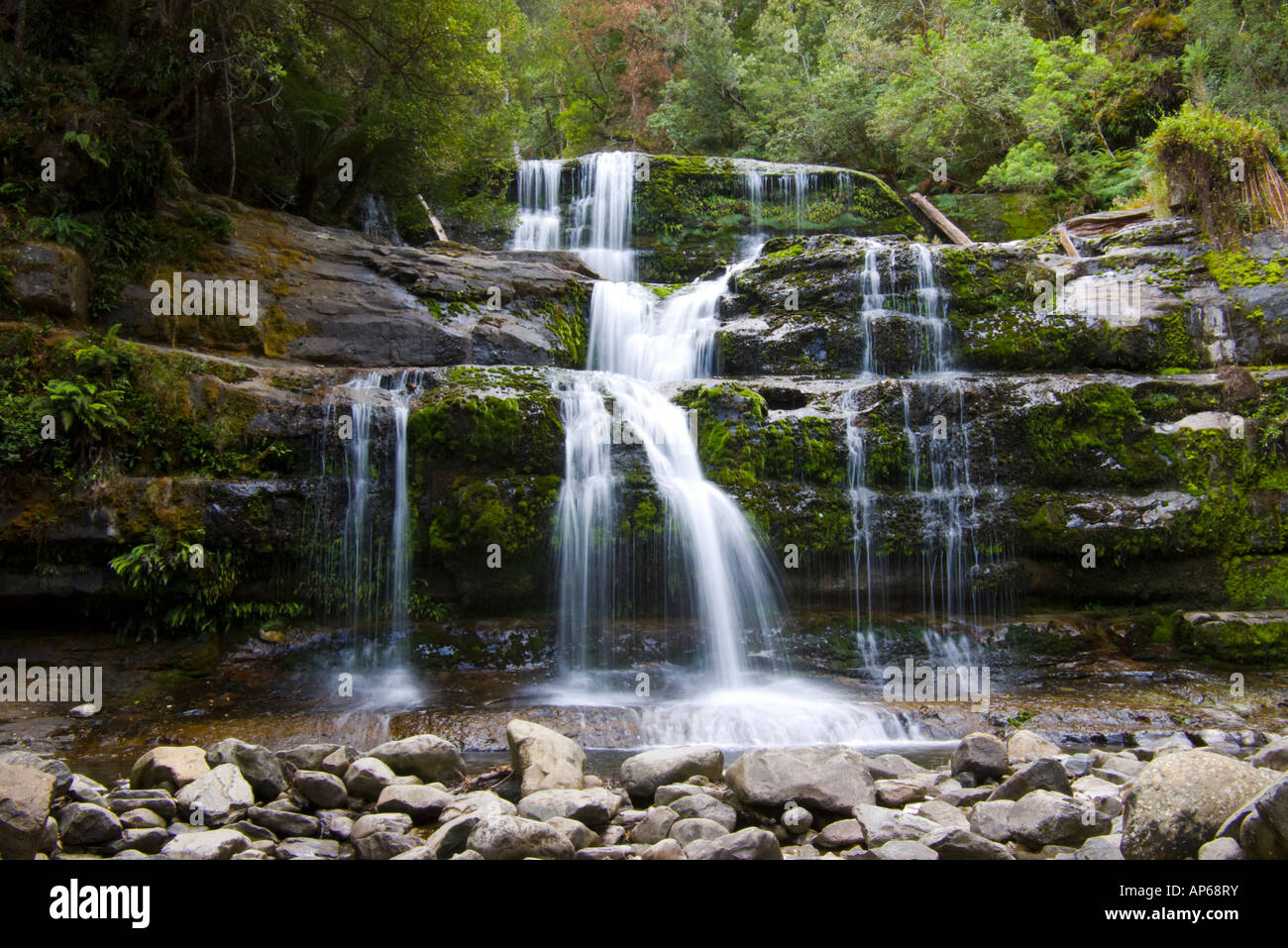 Liffey forest reserve hi-res stock photography and images - Alamy