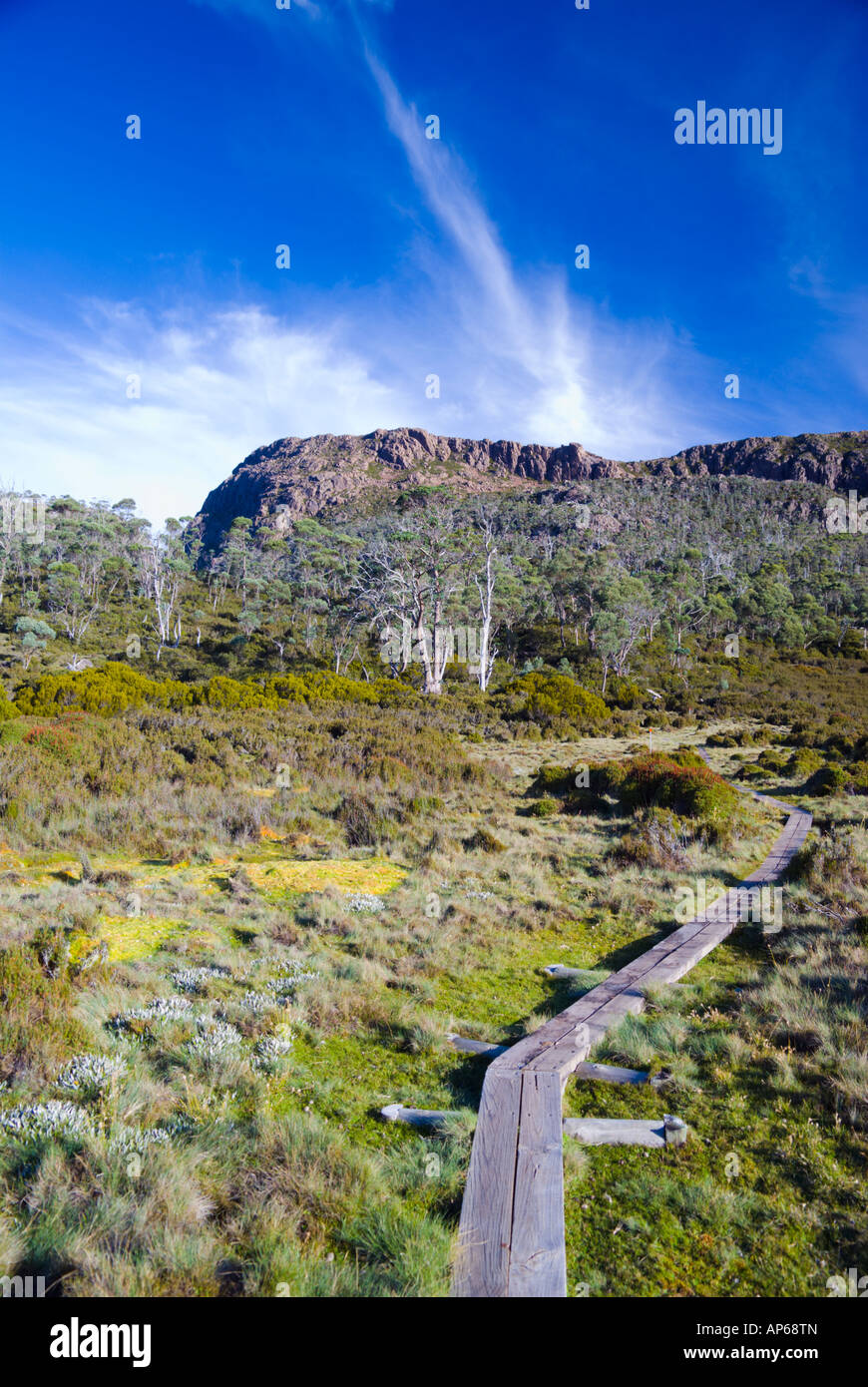 The wild and beautiful Walls of Jerusalem National Park Stock Photo - Alamy