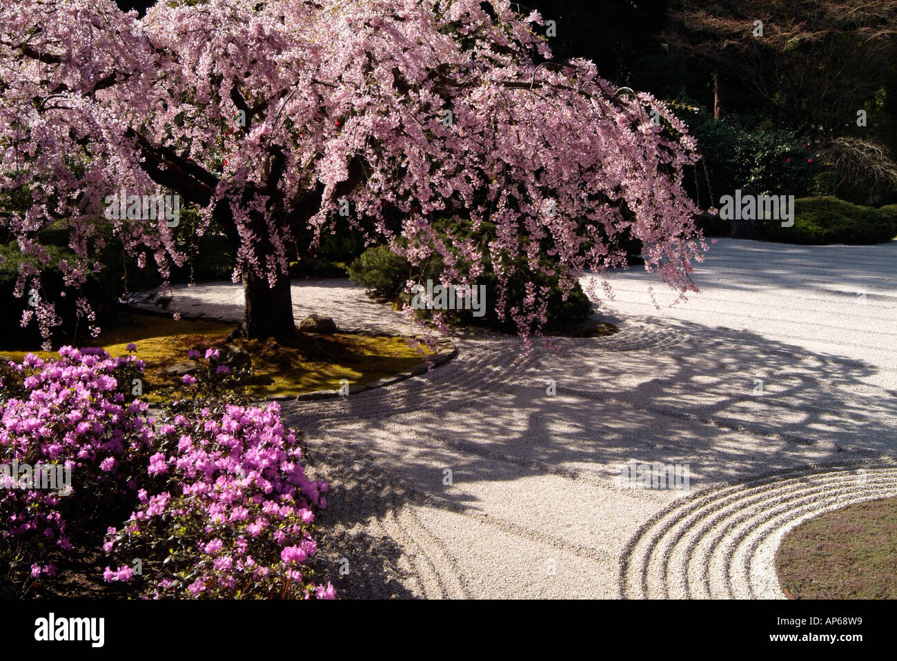 Portland japanese gardens and spring hi-res stock photography and ...