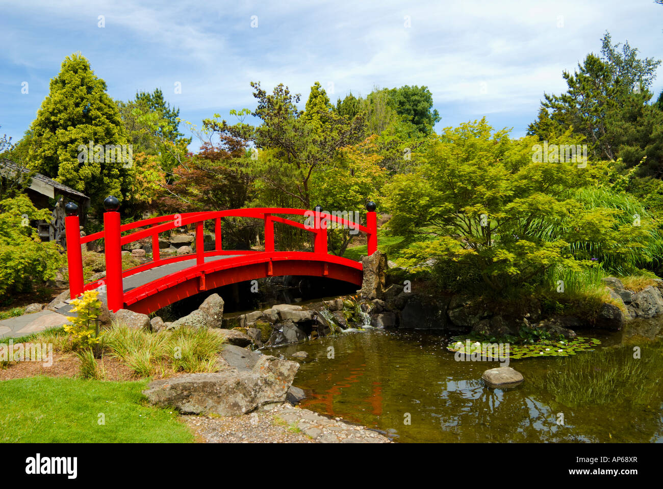 Red Bridge over pond in Japanese Garden Stock Photo - Alamy