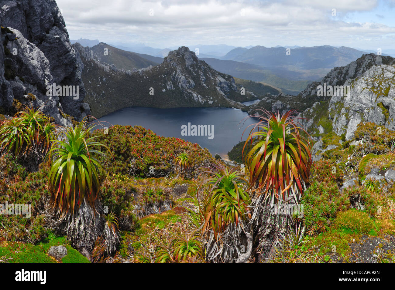 Stunning Lake Oberon in the rugged Western Arthur Range Stock Photo - Alamy