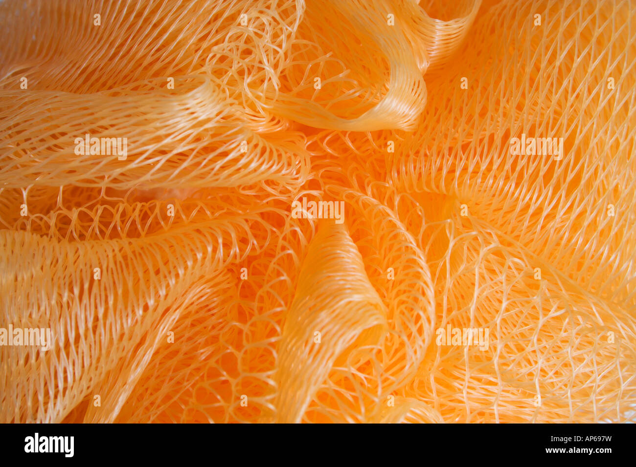 Bast High Resolution Stock Photography and Images - Alamy