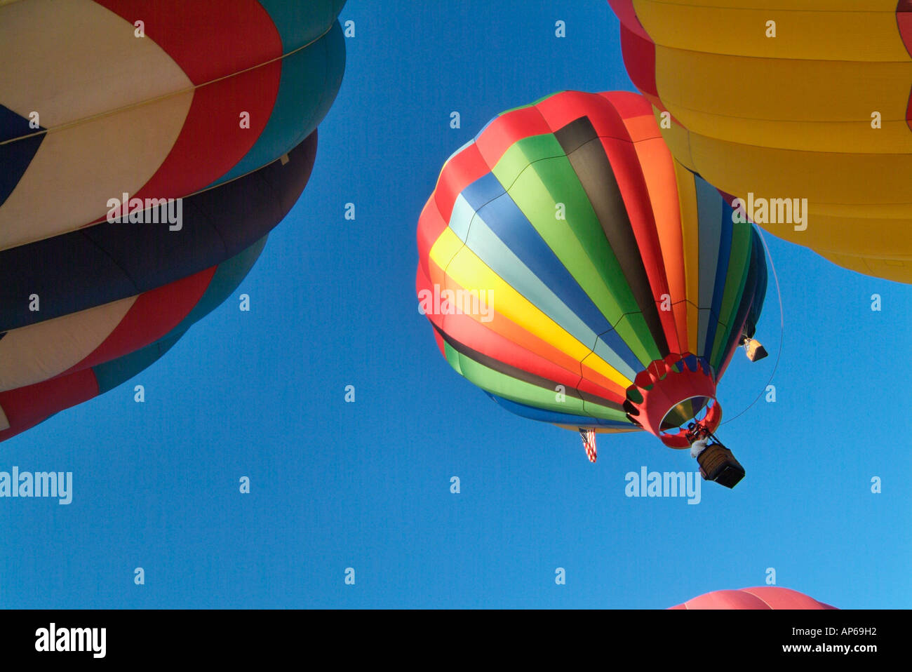 USA, Oregon, Portland, Hot air balloons at the Tigard Festival of ...