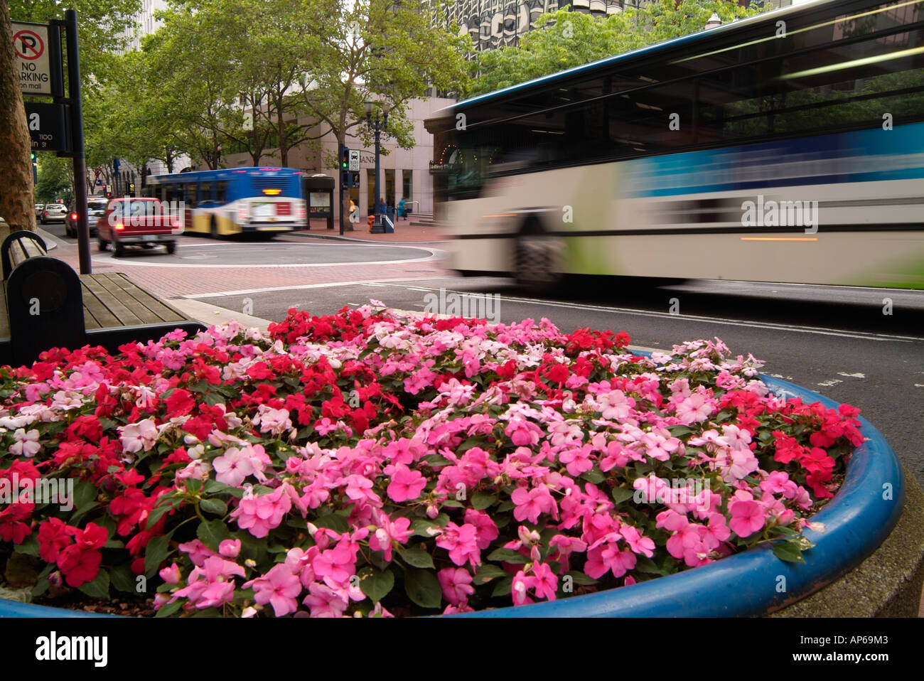 Portland transit mall hi-res stock photography and images - Alamy