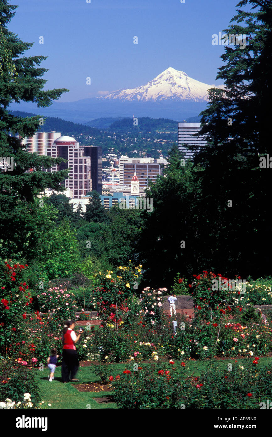 Portland Rose Garden View 1995 Aerial View Of The Rose Garden Arena.