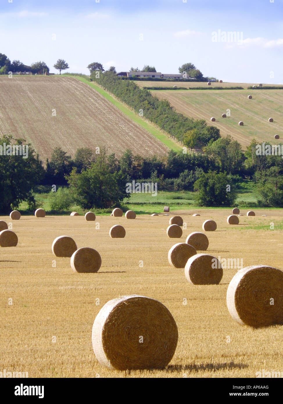 Bales straw field hi-res stock photography and images - Alamy