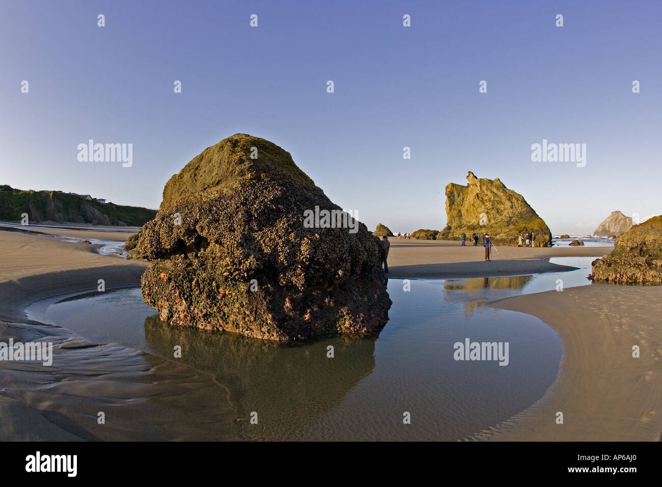 Sea Stacks at Bandon Beach, Oregon Stock Photo - Alamy