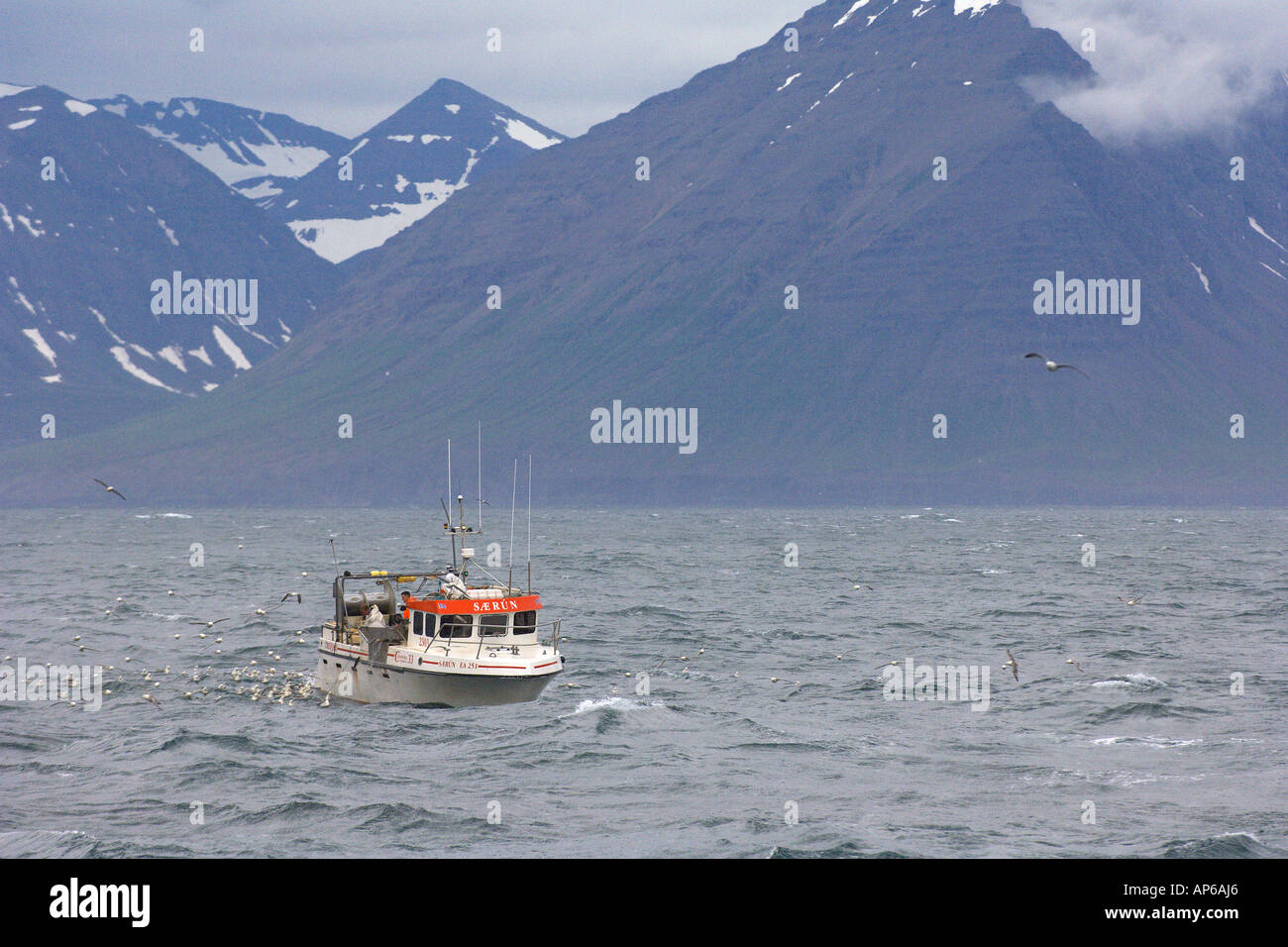 Icelandic long line fishing vessel off north coast of Iceland July 2006 ...