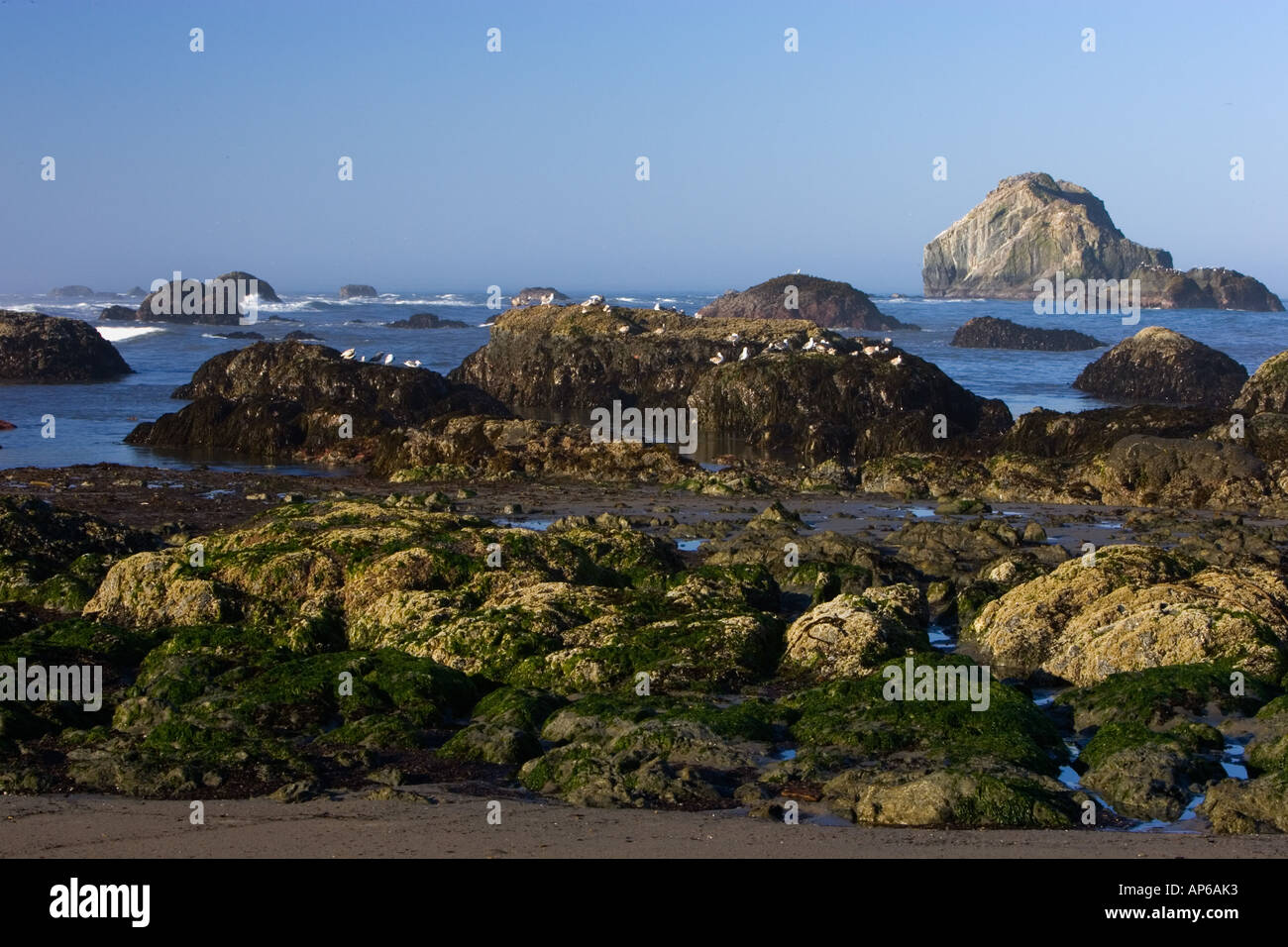 Sea Stacks - Bandon Beach Stock Photo - Alamy