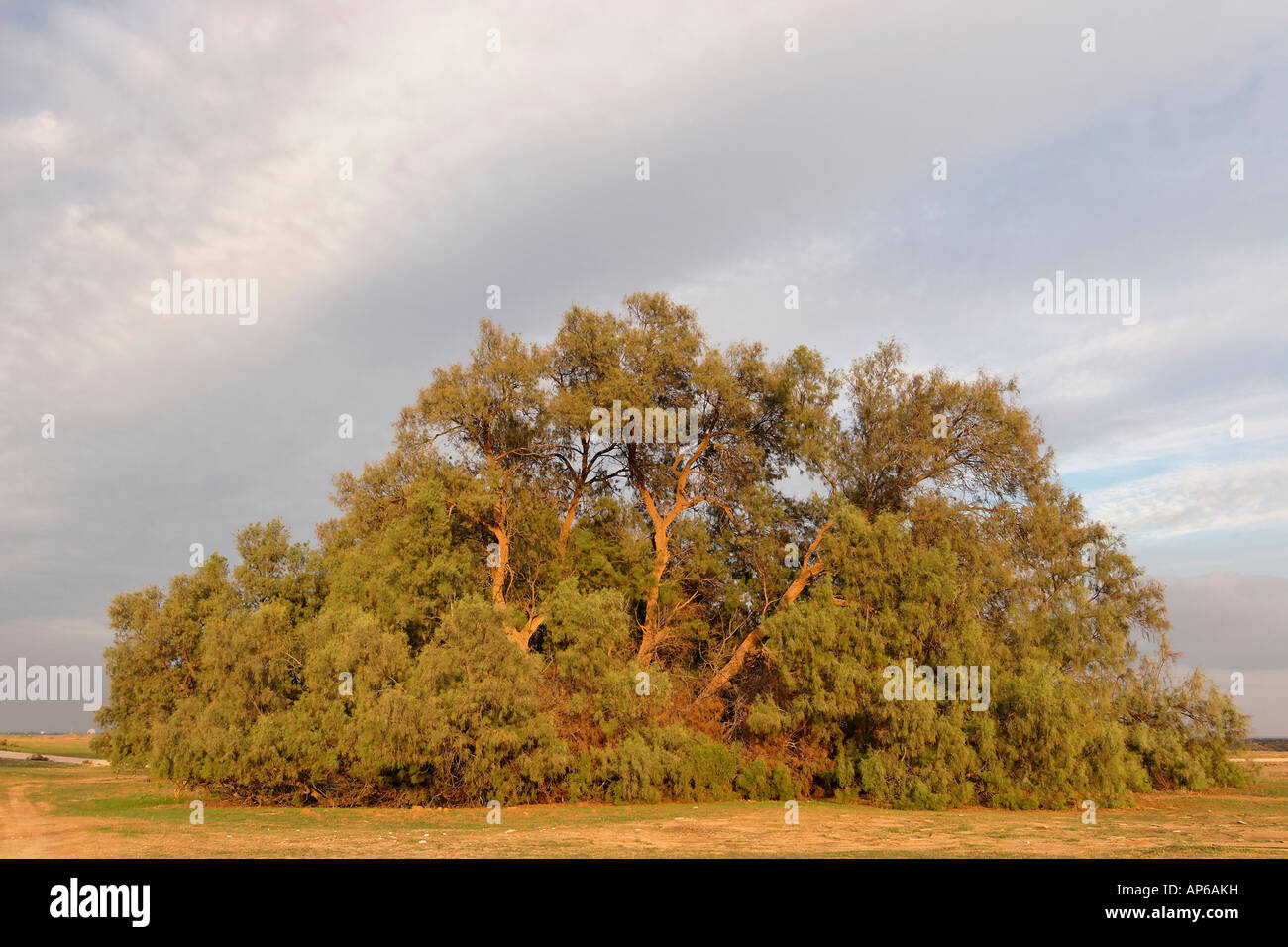 Wadi besor nahal besor nature hi-res stock photography and images - Alamy