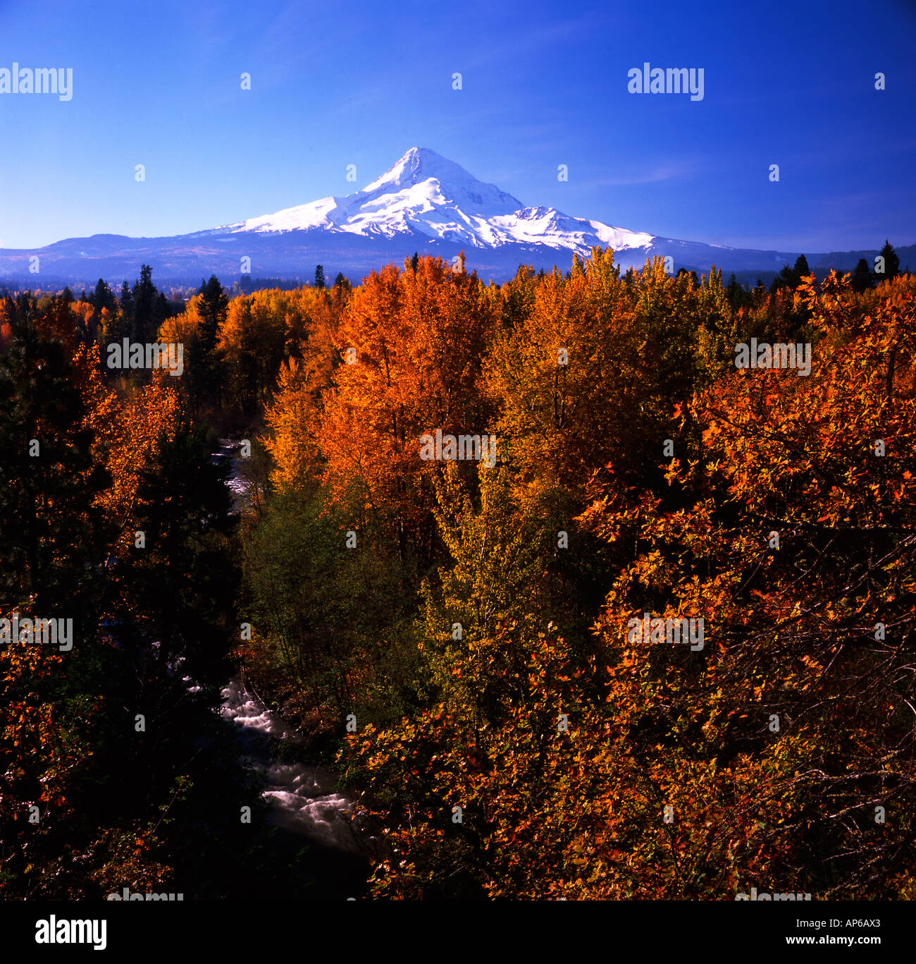 Fall scene of the Hood River and the northside of Mt Hood Stock Photo ...