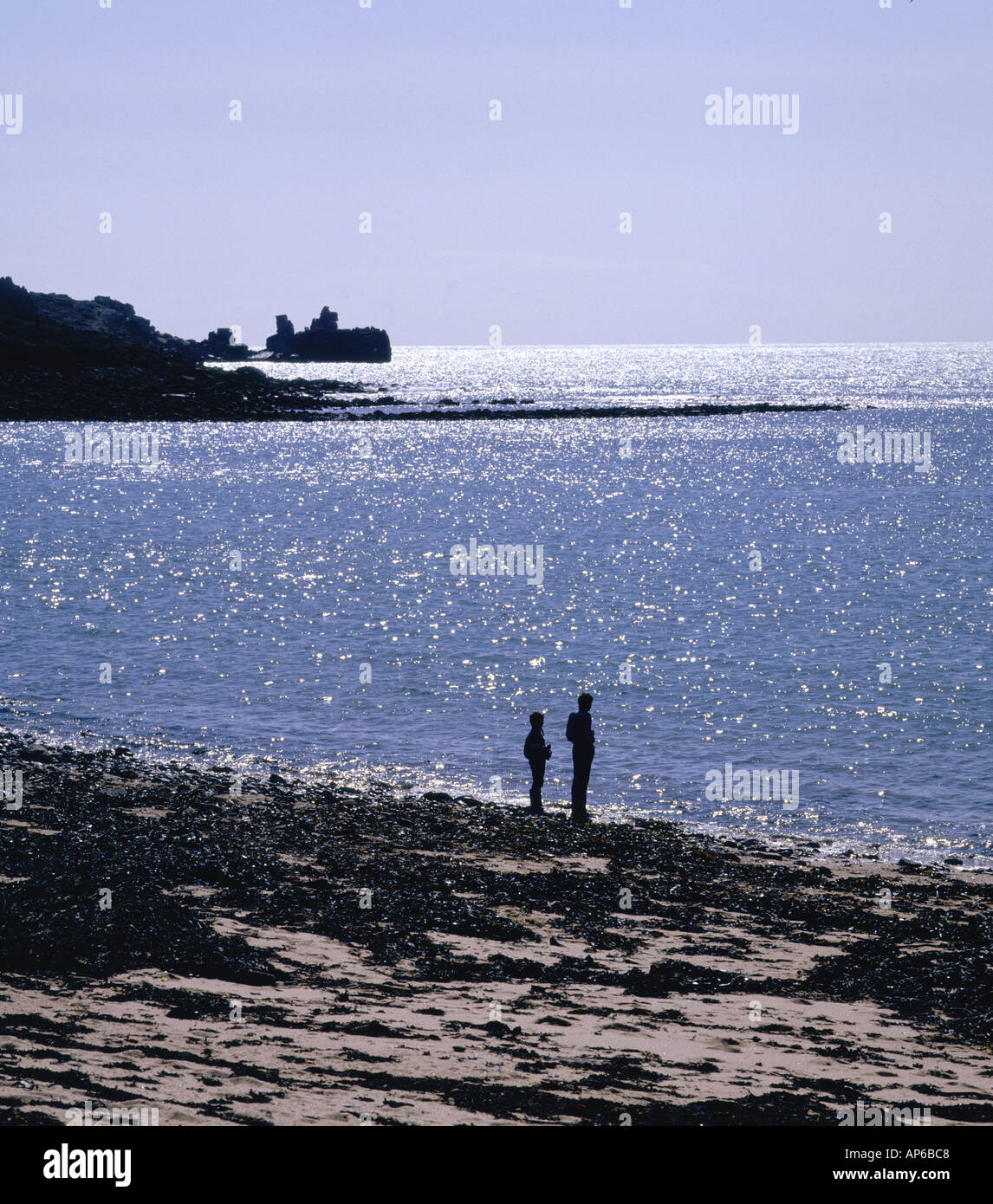 PORTHCRESSA BEACH ISLES OF SCILLY ENGLAND UK Stock Photo - Alamy