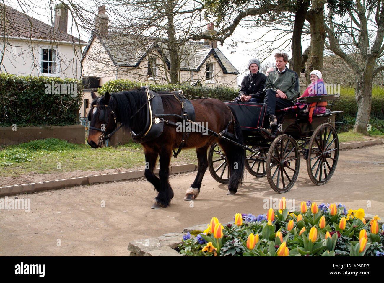 Horse and Carriage Sark Stock Photo - Alamy