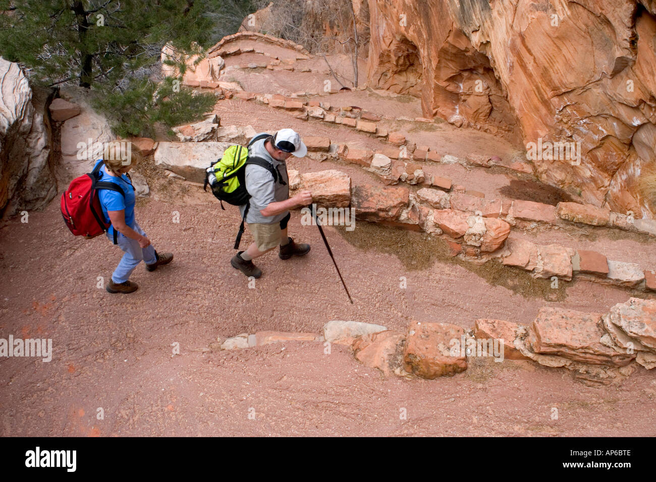 Switchbacks angels landing trail hi-res stock photography and images ...