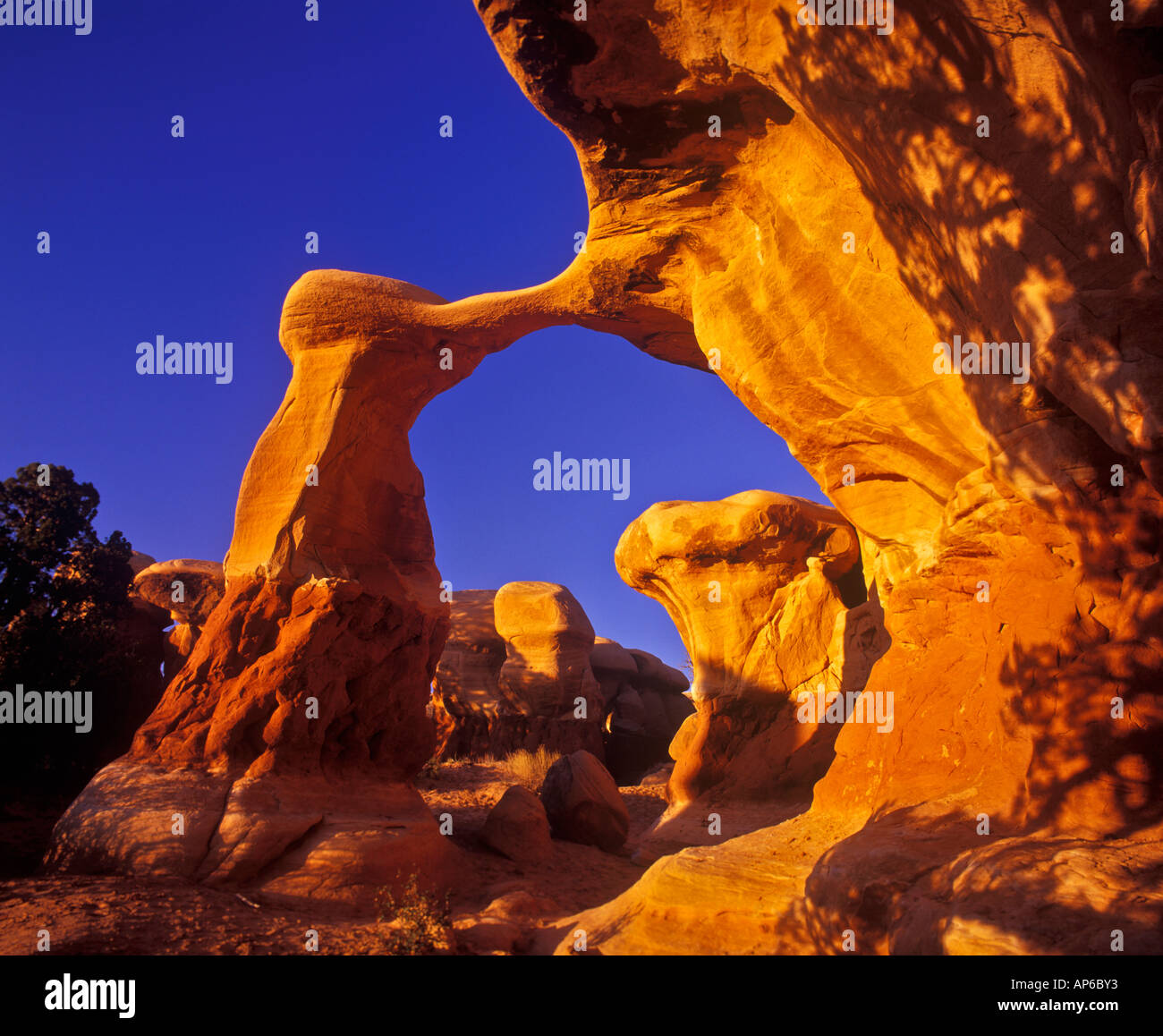 Metate Arch in the Devils Garden, Grand Staircase Escalante in Utah ...