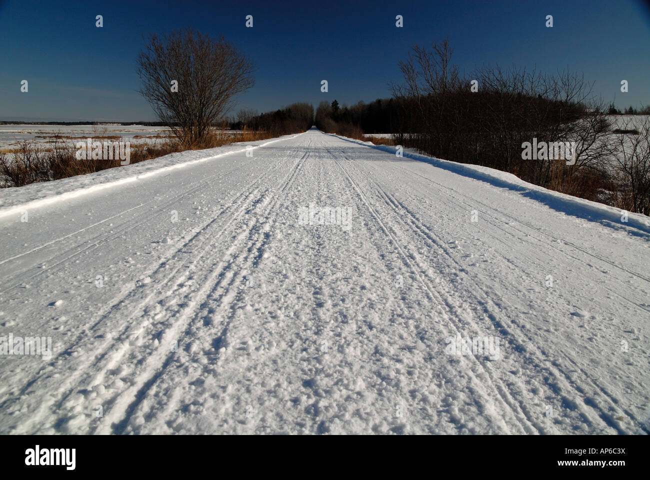 A snow covered track in Nova Scotia Stock Photo - Alamy