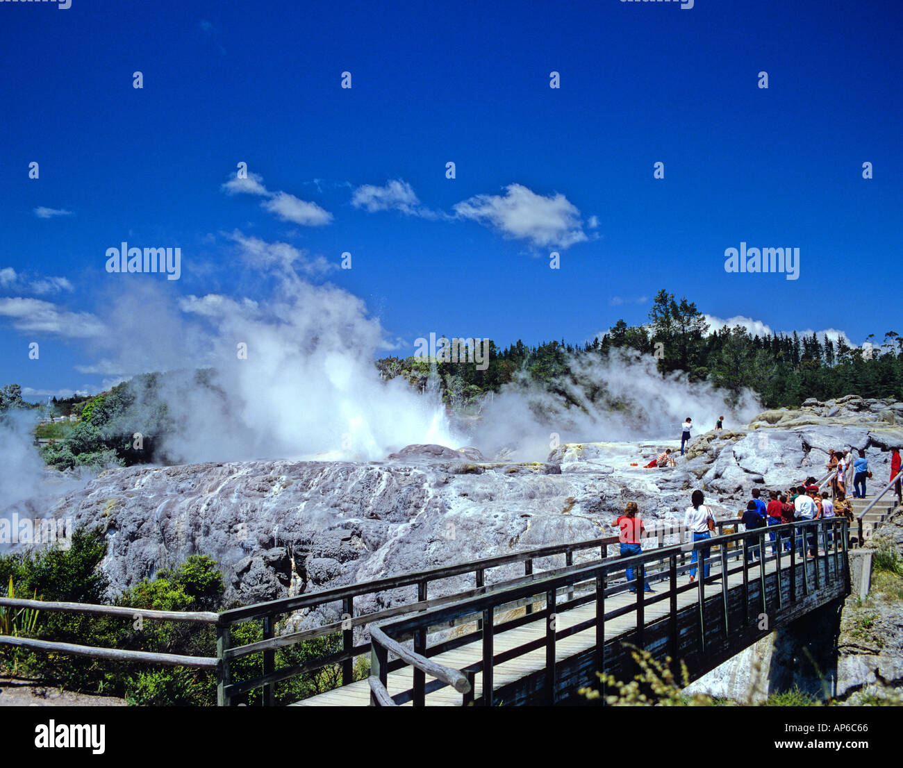 Whakarewarewa thermal reserve Rotorua hot spring Rotorua North Island ...